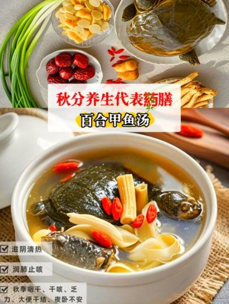 甲鱼汤怎么炖滋补效果好_甲鱼汤放什么药材最补-第1张图片-山城妙识 甲鱼汤怎么炖滋补效果好_甲鱼汤放什么药材最补-第1张图片-山城妙识