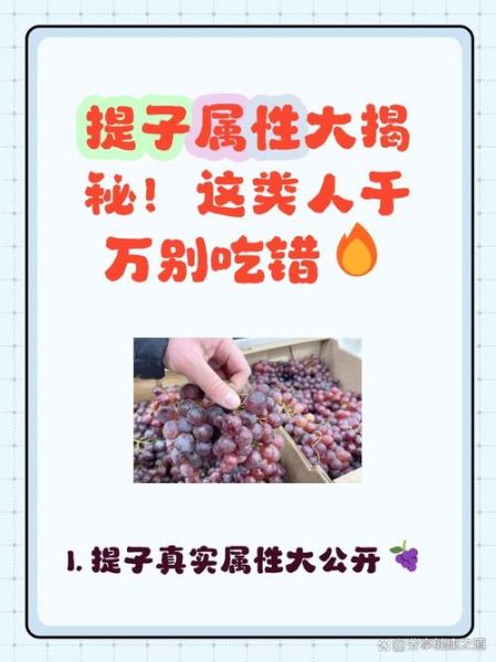 提子是寒性水果吗_提子凉性还是热性-第1张图片-山城妙识 提子是寒性水果吗_提子凉性还是热性-第1张图片-山城妙识