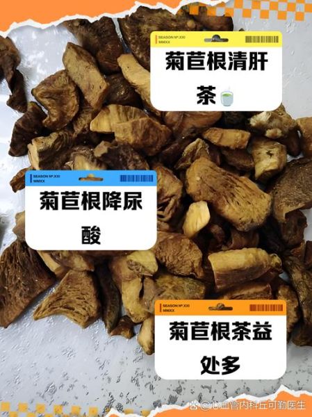 菊苣根治疗痛风怎么用_菊苣根降尿酸多久见效-第2张图片-山城妙识