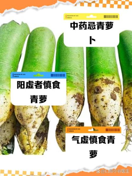青萝卜的功效与作用及禁忌_青萝卜不能和什么一起吃-第1张图片-山城妙识 青萝卜的功效与作用及禁忌_青萝卜不能和什么一起吃-第1张图片-山城妙识