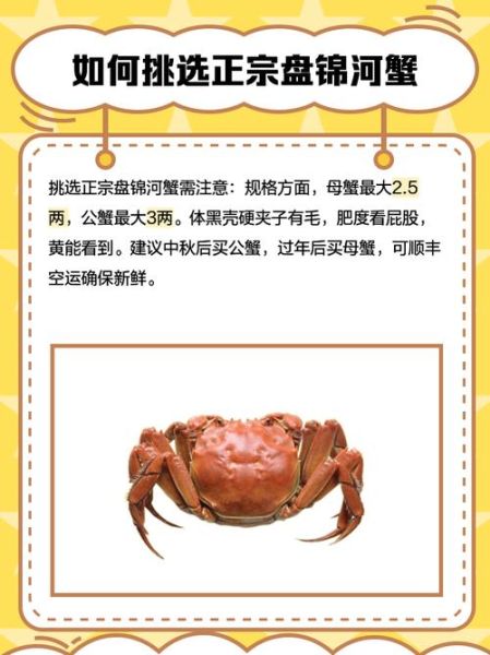 河蟹养殖基地选址要求_河蟹养殖基地投资多少钱-第1张图片-山城妙识 河蟹养殖基地选址要求_河蟹养殖基地投资多少钱-第1张图片-山城妙识
