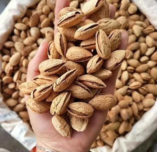 新疆巴旦木图片_如何辨别优质巴旦木-第3张图片-山城妙识