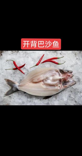 巴沙鱼高清图片怎么拍_巴沙鱼高清图片哪里找-第2张图片-山城妙识 巴沙鱼高清图片怎么拍_巴沙鱼高清图片哪里找-第2张图片-山城妙识