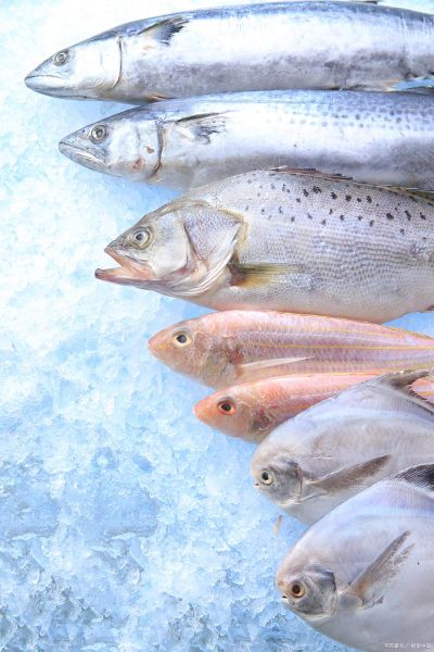 巴沙鱼高清图片怎么拍_巴沙鱼高清图片哪里找-第3张图片-山城妙识 巴沙鱼高清图片怎么拍_巴沙鱼高清图片哪里找-第3张图片-山城妙识