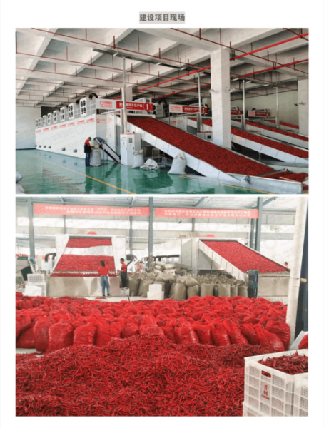 辣椒烘干机厂家哪家好_辣椒烘干机多少钱一台-第2张图片-山城妙识 辣椒烘干机厂家哪家好_辣椒烘干机多少钱一台-第2张图片-山城妙识