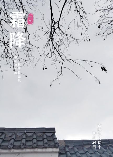 霜降图片唯美_如何拍出诗意氛围-第2张图片-山城妙识