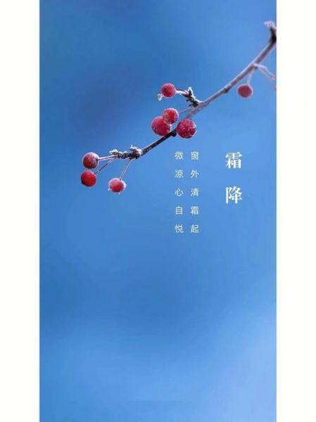 霜降图片唯美_如何拍出诗意氛围-第1张图片-山城妙识