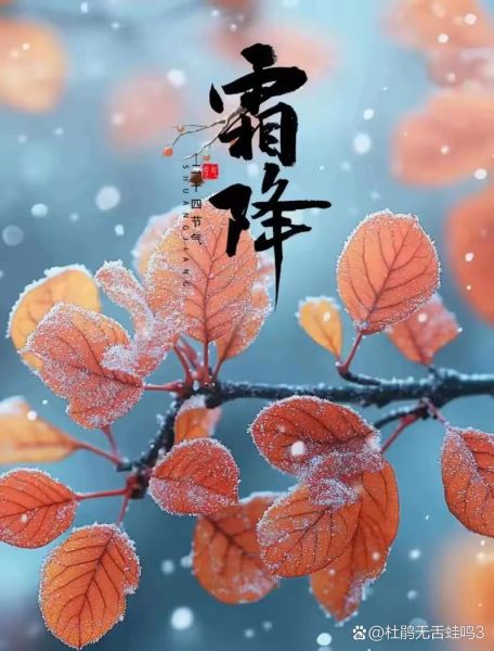 霜降图片唯美_如何拍出诗意氛围-第3张图片-山城妙识