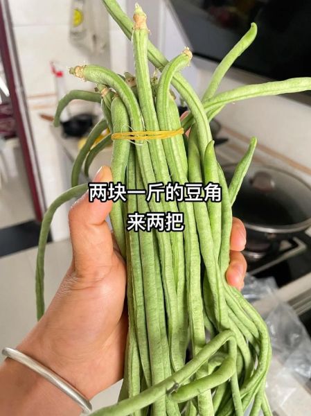酸豆角怎么腌才脆_腌酸豆角要不要焯水-第1张图片-山城妙识