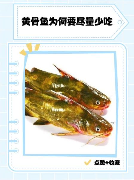 黄骨鱼适合小孩吃吗_小孩吃黄骨鱼的好处与禁忌-第1张图片-山城妙识