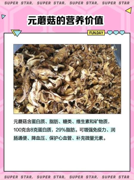 元蘑多少钱一斤_元蘑价格走势-第3张图片-山城妙识 元蘑多少钱一斤_元蘑价格走势-第3张图片-山城妙识