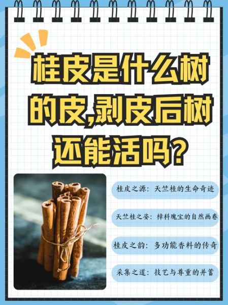 桂皮树剥了皮会死吗_桂皮树剥皮后还能活多久-第1张图片-山城妙识 桂皮树剥了皮会死吗_桂皮树剥皮后还能活多久-第1张图片-山城妙识