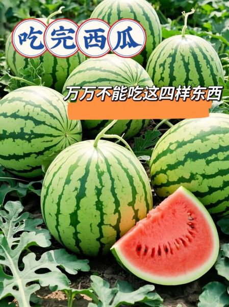 食味阿远西瓜视频怎么拍_食味阿远西瓜视频为什么这么火-第3张图片-山城妙识 食味阿远西瓜视频怎么拍_食味阿远西瓜视频为什么这么火-第3张图片-山城妙识