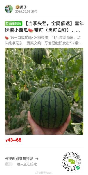 食味阿远西瓜视频怎么拍_食味阿远西瓜视频为什么这么火-第2张图片-山城妙识 食味阿远西瓜视频怎么拍_食味阿远西瓜视频为什么这么火-第2张图片-山城妙识