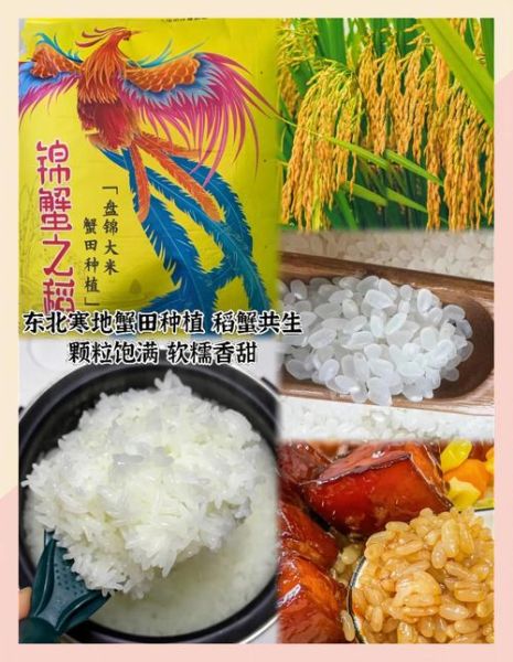 盘锦大米多少钱一斤_盘锦大米为什么好吃-第2张图片-山城妙识 盘锦大米多少钱一斤_盘锦大米为什么好吃-第2张图片-山城妙识