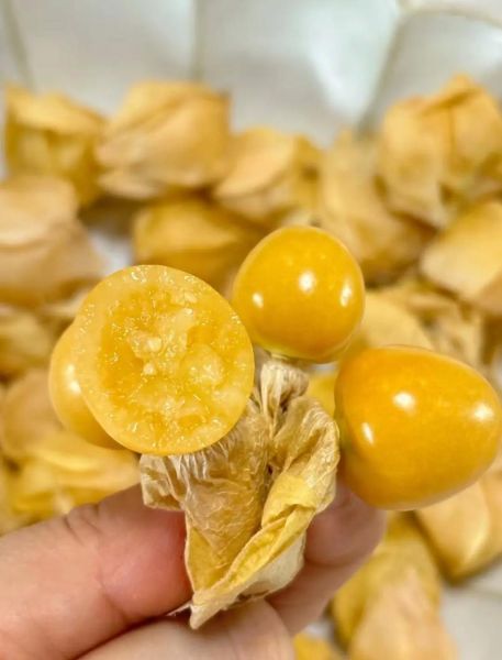 罕见水果有哪些_罕见水果叫什么名字-第2张图片-山城妙识 罕见水果有哪些_罕见水果叫什么名字-第2张图片-山城妙识