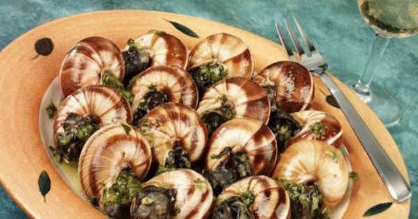 法国蜗牛图片_哪里可以看到高清大图-第2张图片-山城妙识