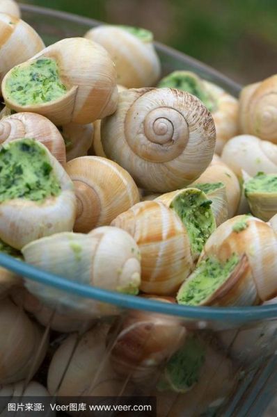 法国蜗牛图片_哪里可以看到高清大图-第3张图片-山城妙识