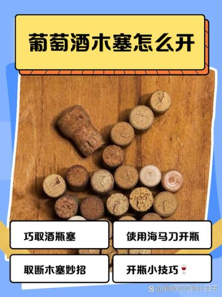 开瓶器怎么用_红酒木塞断了怎么办-第2张图片-山城妙识 开瓶器怎么用_红酒木塞断了怎么办-第2张图片-山城妙识