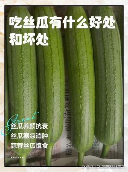 丝瓜功效与作用及禁忌_什么人不能吃丝瓜-第2张图片-山城妙识