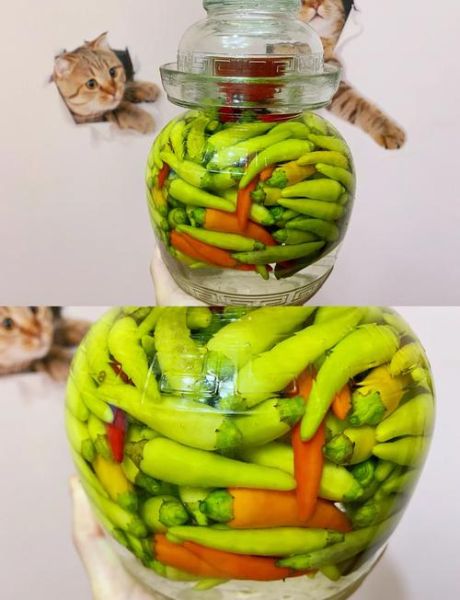 野山椒怎么腌制_野山椒做法大全-第2张图片-山城妙识 野山椒怎么腌制_野山椒做法大全-第2张图片-山城妙识