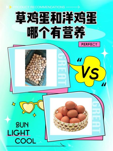 草鸡蛋和洋鸡蛋哪个有营养_草鸡蛋和洋鸡蛋营养价值对比-第1张图片-山城妙识 草鸡蛋和洋鸡蛋哪个有营养_草鸡蛋和洋鸡蛋营养价值对比-第1张图片-山城妙识
