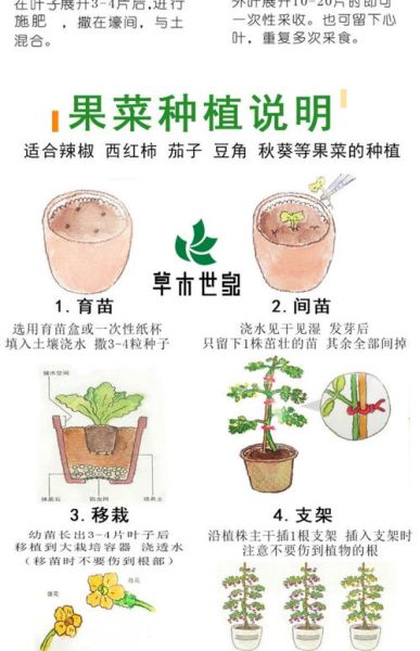 蔬菜种子怎么保存_哪些蔬菜种子适合新手-第2张图片-山城妙识