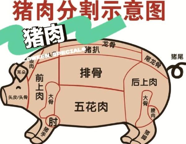 三线肉和五花肉的区别_哪个部位更肥-第2张图片-山城妙识 三线肉和五花肉的区别_哪个部位更肥-第2张图片-山城妙识