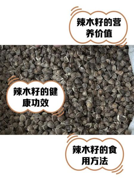 辣木籽一天吃几粒_辣木籽怎么吃才正确-第3张图片-山城妙识