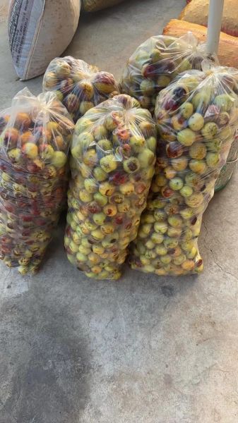 花生网花生价格_今日花生多少钱一斤-第1张图片-山城妙识