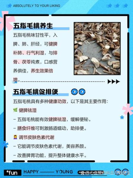 五指毛桃的功效与作用_五指毛桃的禁忌人群-第3张图片-山城妙识 五指毛桃的功效与作用_五指毛桃的禁忌人群-第3张图片-山城妙识