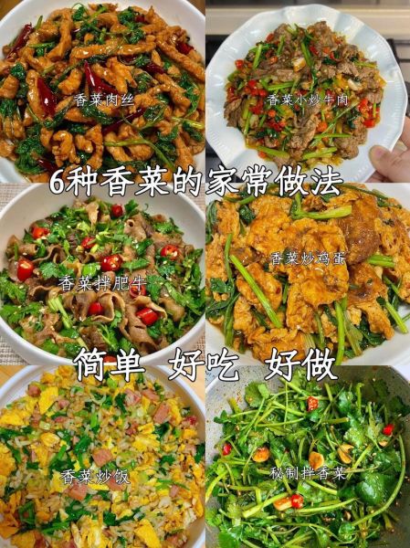 十香菜怎么吃_十香菜的家常做法-第3张图片-山城妙识 十香菜怎么吃_十香菜的家常做法-第3张图片-山城妙识