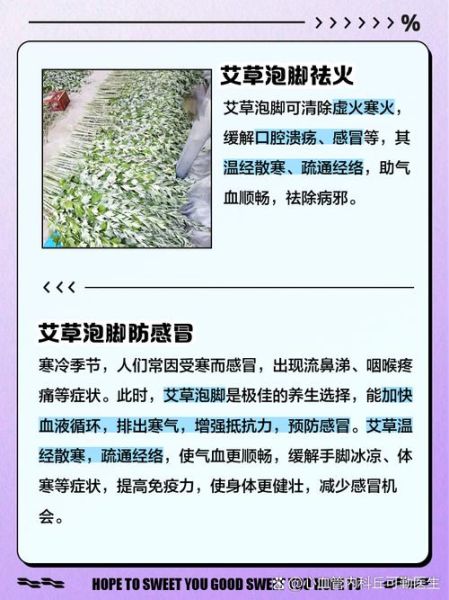 艾草泡脚的功效与作用_艾草泡脚的禁忌有哪些-第2张图片-山城妙识