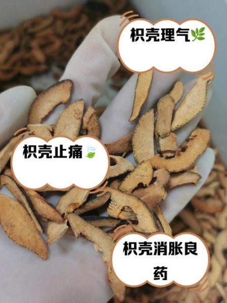 蜜麸炒枳壳的功效与作用_蜜麸炒枳壳和生枳壳区别-第3张图片-山城妙识 蜜麸炒枳壳的功效与作用_蜜麸炒枳壳和生枳壳区别-第3张图片-山城妙识