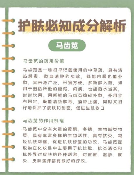 马齿苋对皮肤的功效_马齿苋怎么护肤-第2张图片-山城妙识