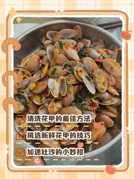 花甲怎么清洗内脏_花甲去沙最快方法-第2张图片-山城妙识