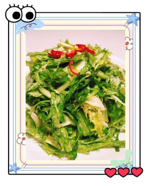 苦菊怎么凉拌好吃_凉拌苦菊要不要焯水-第1张图片-山城妙识