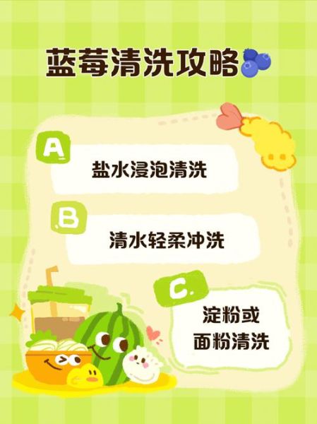 蓝莓怎么洗_蓝莓要不要用盐水泡-第3张图片-山城妙识 蓝莓怎么洗_蓝莓要不要用盐水泡-第3张图片-山城妙识