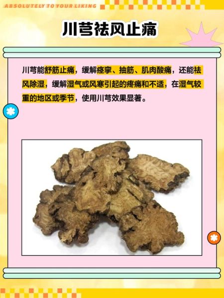 川芎的功效与作用及禁忌副作用_川芎怎么吃才安全-第3张图片-山城妙识 川芎的功效与作用及禁忌副作用_川芎怎么吃才安全-第3张图片-山城妙识
