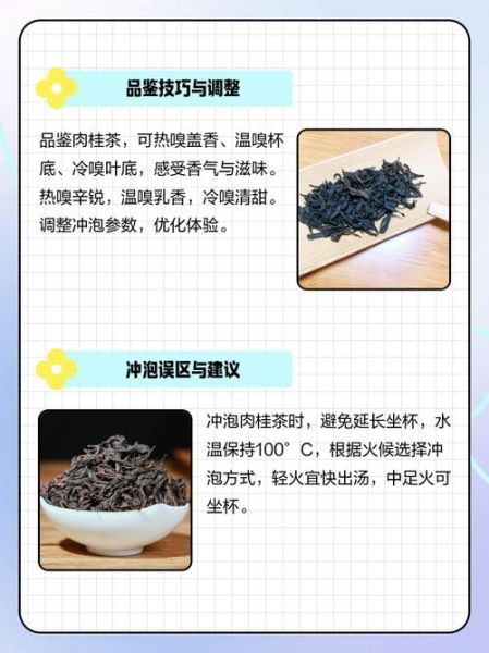 肉桂泡水喝的功效_肉桂泡水怎么喝才有效-第1张图片-山城妙识