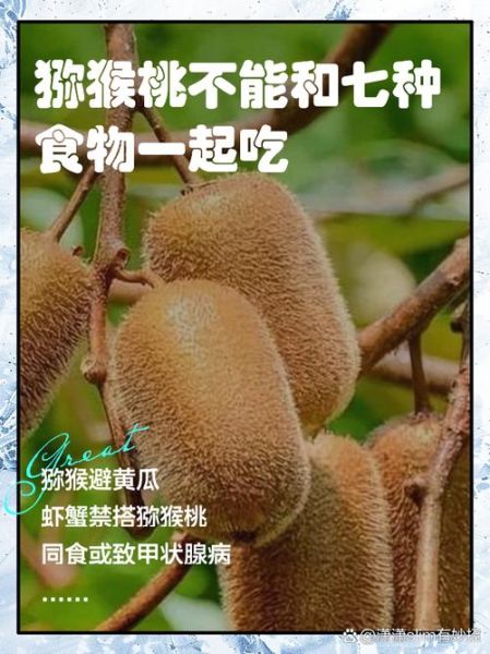 猕猴桃的功效与作用_猕猴桃的禁忌人群-第2张图片-山城妙识