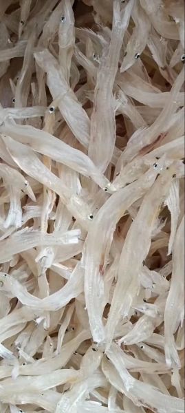 银鱼干多少钱一斤_银鱼干价格为什么差别大-第2张图片-山城妙识