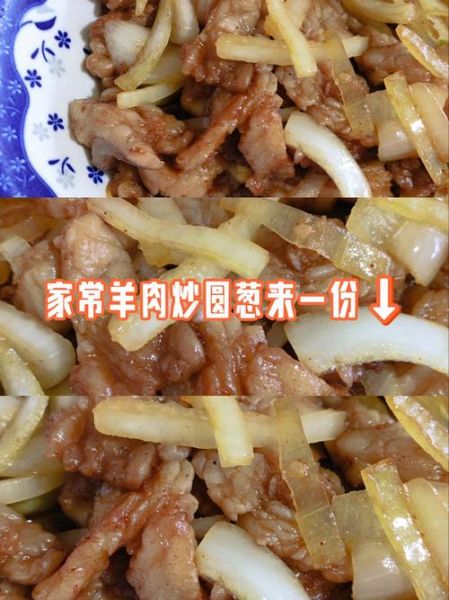 羊肉片炒洋葱怎么做_羊肉片炒洋葱窍门-第3张图片-山城妙识
