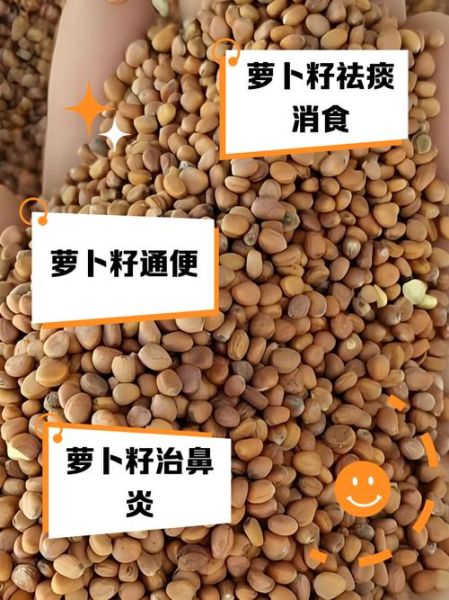 白萝卜治疗鼻炎有效吗_白萝卜治鼻炎的正确用法-第1张图片-山城妙识 白萝卜治疗鼻炎有效吗_白萝卜治鼻炎的正确用法-第1张图片-山城妙识