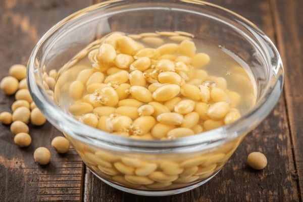 黄豆泡多久可以打豆浆_干豆直接打豆浆行不行-第1张图片-山城妙识