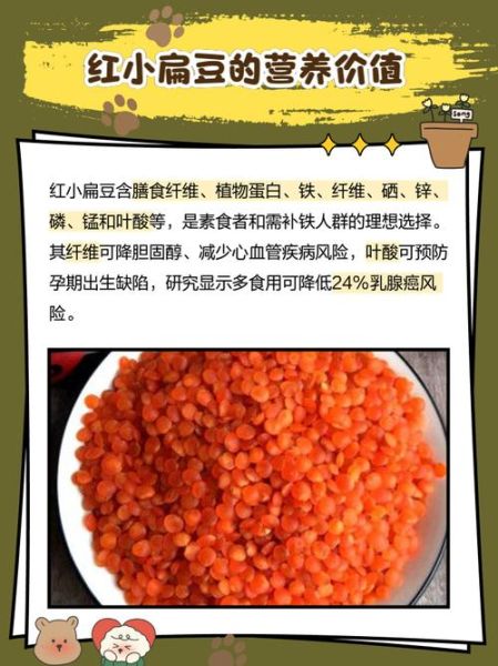 红小扁豆的功效与作用_红小扁豆怎么吃最营养-第1张图片-山城妙识