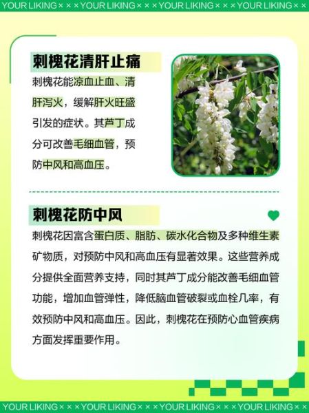 刺槐花的功效与作用_刺槐花怎么吃最好-第1张图片-山城妙识