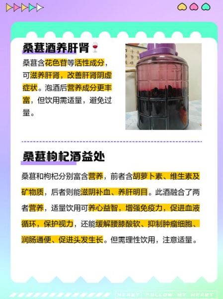 桑葚酒哪些人不能喝_桑葚酒禁忌人群有哪些-第1张图片-山城妙识