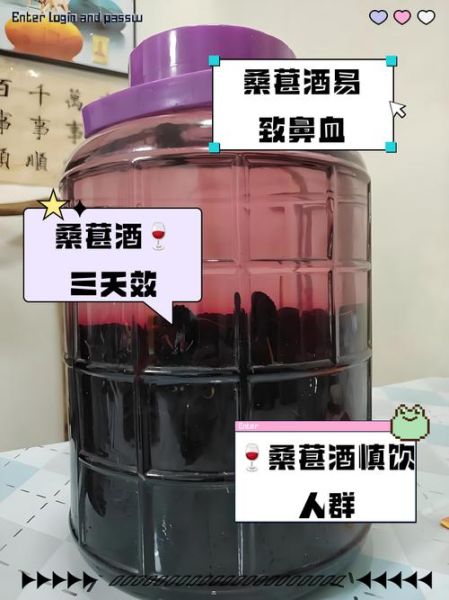 桑葚酒哪些人不能喝_桑葚酒禁忌人群有哪些-第3张图片-山城妙识