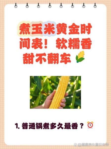 电饭锅煮玉米要多久_电饭锅煮玉米的正确方法-第2张图片-山城妙识 电饭锅煮玉米要多久_电饭锅煮玉米的正确方法-第2张图片-山城妙识